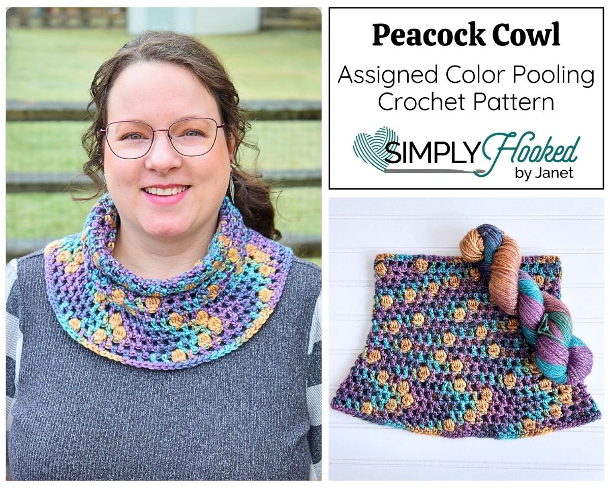 1 Skein Crochet Cowl using the Assigned Color Pooling Technique ...